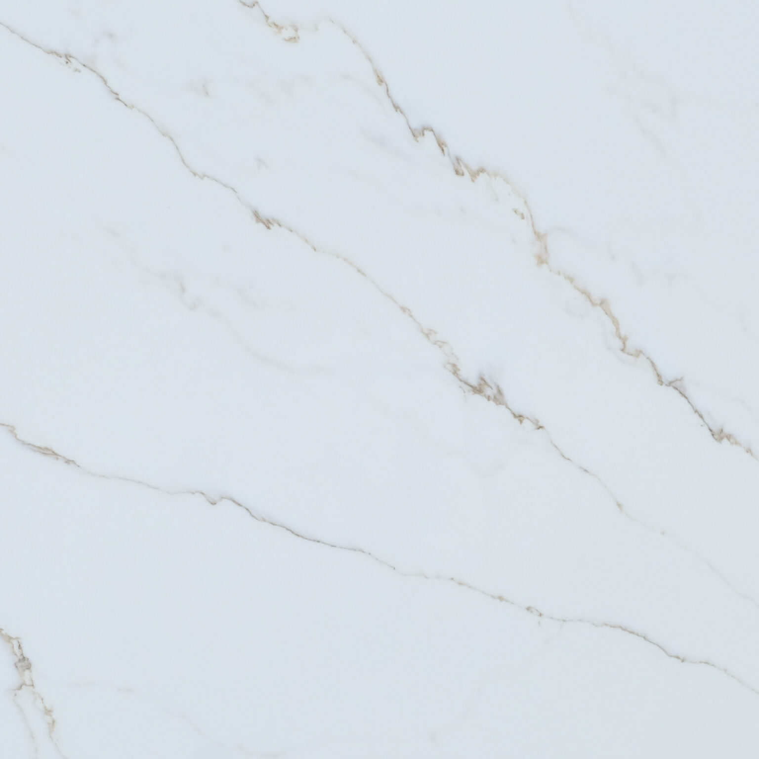 Select the Calacatta Montana from the Premium Distributor in USA